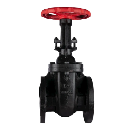 Cast Iron Gate Valve Rising Stem PN14 DN50-600